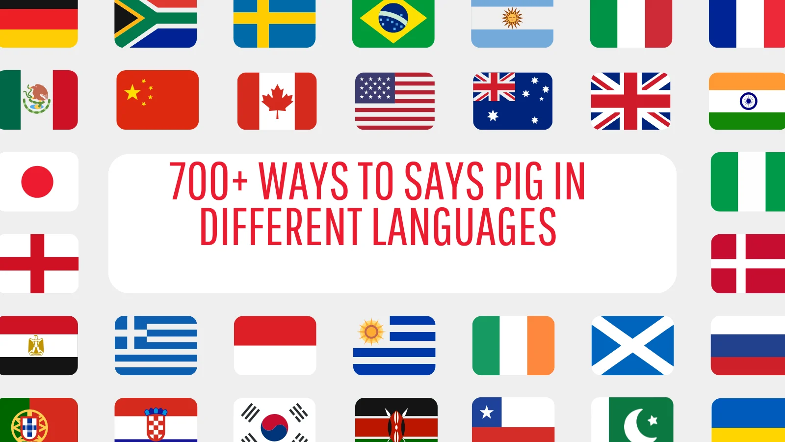 700+ Ways To Says Pig in Different Languages